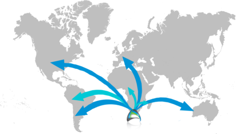 Apex Cordset Technologies product Range | Apex leads